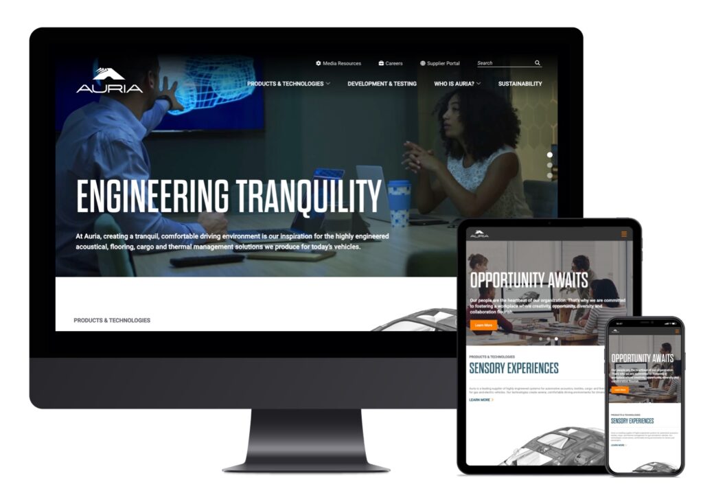 Web Design & Development Case Studies | Windmill Strategy
